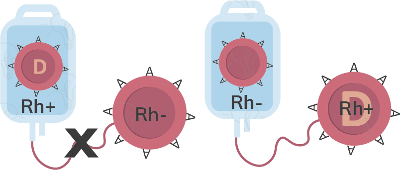 rh-positivo – Enfermería Creativa
